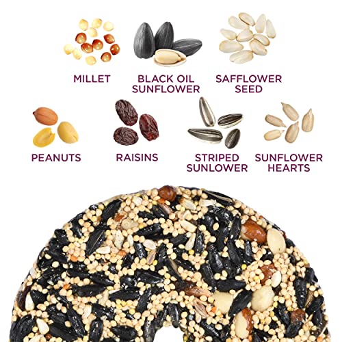 Audubon Park Nut & Fruit Snack Stack Wild Bird Food, Bird Seed Cake for Outside Feeders, 6-Pack