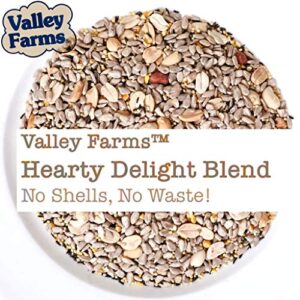 Valley Farms Hearty Delight Wild Bird Food