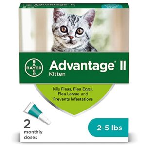 advantage ii once-a-month topical kills flea for kitten, count of 2.041 lb