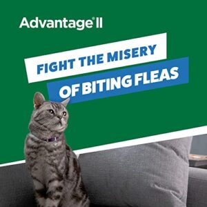 Advantage II Once-A-Month Topical Kills Flea for Kitten, Count of 2.041 LB