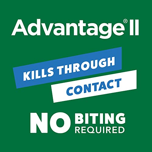 Advantage II Once-A-Month Topical Kills Flea for Kitten, Count of 2.041 LB