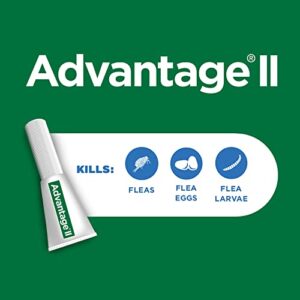 Advantage II Once-A-Month Topical Kills Flea for Kitten, Count of 2.041 LB