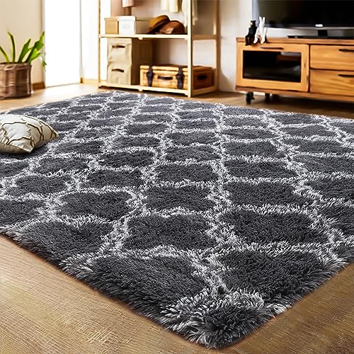 LOCHAS Luxury Shag Area Rug 4x6 Feet Geometric Indoor Plush Fluffy Rugs, Extra Soft and Comfy Carpet, Moroccan Rugs for Bedroom Living Room Dorm Nursery Kids, Dark Grey/White