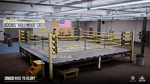 Creed: Rise to Glory (PSVR) (PS4)