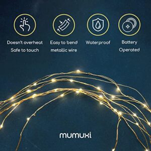 MUMUXI LED Fairy Lights Battery Operated String Lights [12 Pack] 7.2ft 20 Battery Powered LED Lights | Mini Lights, Centerpiece Table Decorations, Wedding Party Bedroom Mason Jar Christmas, Warm White