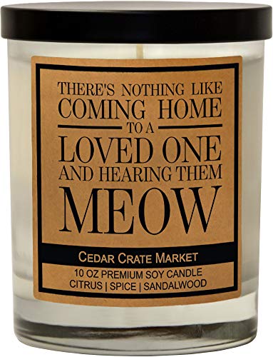 Nothing Like Coming Home to A Loved One and Hearing Them Meow, Kraft Label Scented Soy Candle, Citrus, Spice, Sandalwood, 10 Oz. Glass Jar Candle, Made in The USA, Decorative Candles, Funny Gifts