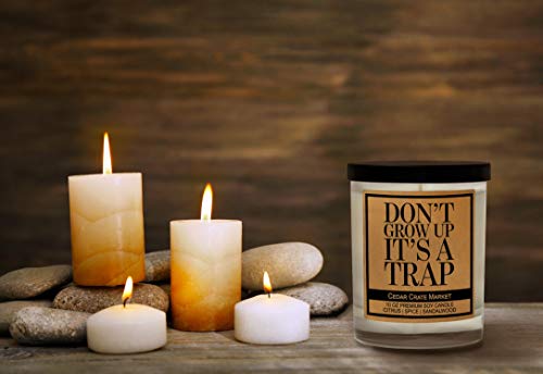 Don't Grow Up It's A Trap, Kraft Label Scented Soy Candle, Citrus, Spice, Sandalwood, 10 Oz. Glass Jar Candle, Made in The USA, Decorative Candles, Funny and Sassy Gifts