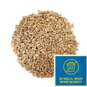 Sunflower Chips Shelled No Waste Bird Seed (20 Pounds)