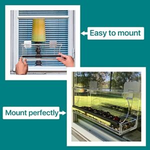 Window Bird Feeder with Removable Seed Tray and Super Strong Sticker Hooks, Large Bird Feeder for Wild Birds Outside, All-Weather Design, Never Fall Off