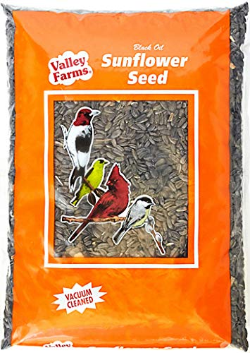 Valley Farms Black Oil Sunflower Seed Wild Bird Food (10 LBS)