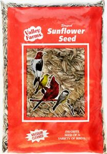 valley farms striped sunflower seed - wild bird favorite, classic year 'round wild bird food (10 lbs)