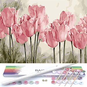 baisite paint by numbers for adults beginners and kids,16" wx20 l canvas pictures drawing paintwork with 4 pcs wooden paintbrushes,acrylic pigment poppy flowers-bsc012