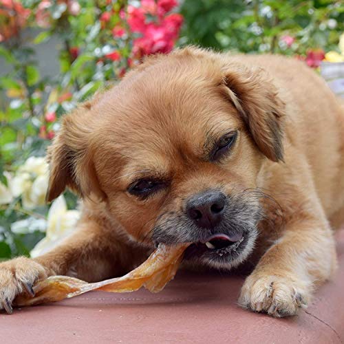 Nature Gnaws Tendons for Dogs - Premium Natural Beef Sticks - Simple Single Ingredient Tasty Dog Chew Treats - Rawhide Free - 4-5 Inch (8 oz)