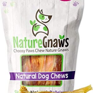 Nature Gnaws Tendons for Dogs - Premium Natural Beef Sticks - Simple Single Ingredient Tasty Dog Chew Treats - Rawhide Free - 4-5 Inch (8 oz)