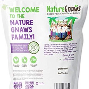 Nature Gnaws Tendons for Dogs - Premium Natural Beef Sticks - Simple Single Ingredient Tasty Dog Chew Treats - Rawhide Free - 4-5 Inch (8 oz)