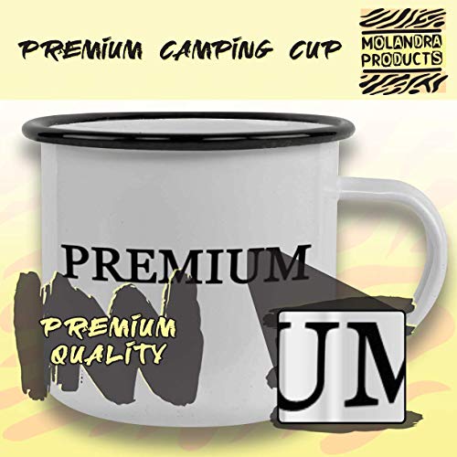 I'm A Ramsha. To Save Time Let's Just Assume I'm Always Right. - Stainless Steel 12oz Camping Mug, Black