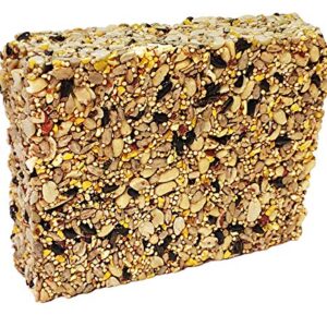 Songbird Treats Seed Bars | 1-2 lb Bird Seed Cakes for Wild Birds (Woodpecker Crunch)