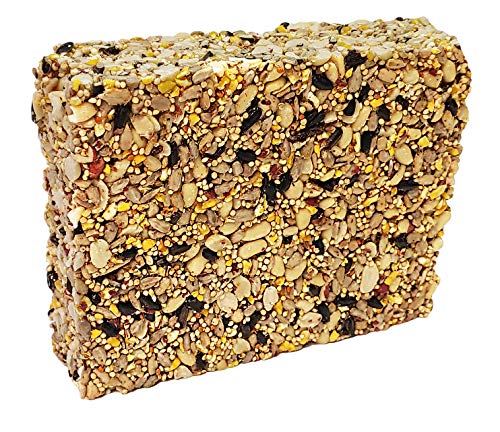 Songbird Treats Seed Bars | 1-2 lb Bird Seed Cakes for Wild Birds (Woodpecker Crunch)