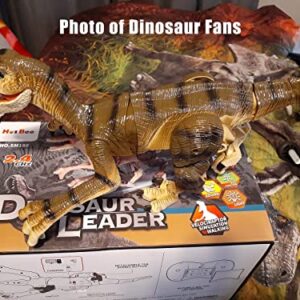 Hot Bee Remote Control Dinosaur Toys for Boys 4-7 8-12, Walking Robot Dinosaur Toy w/Light & Roaring Simulation Velociraptor, Dinosaur Gifts for Boys Age 4 5 6 7 8-12