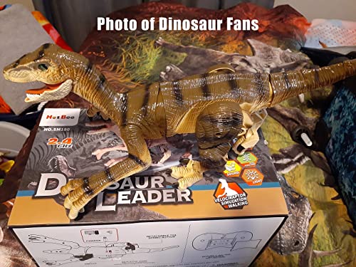 Hot Bee Remote Control Dinosaur Toys for Boys 4-7 8-12, Walking Robot Dinosaur Toy w/Light & Roaring Simulation Velociraptor, Dinosaur Gifts for Boys Age 4 5 6 7 8-12