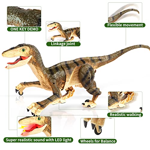 Hot Bee Remote Control Dinosaur Toys for Boys 4-7 8-12, Walking Robot Dinosaur Toy w/Light & Roaring Simulation Velociraptor, Dinosaur Gifts for Boys Age 4 5 6 7 8-12