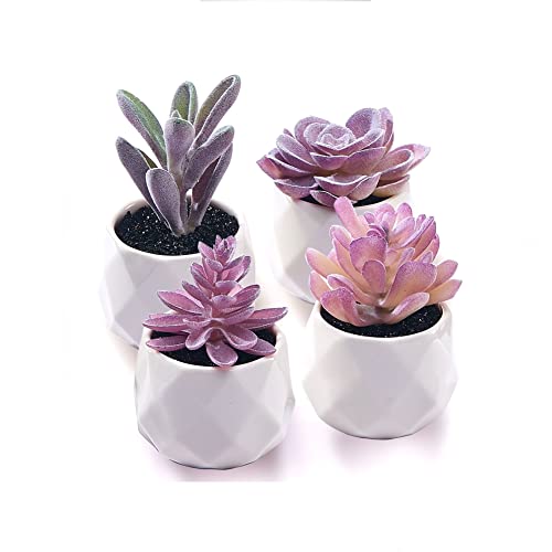 CADNLY Fake Succulent Plant Set for Women Desk - Realistic Artificial Mini Purple Succulent Décor in Ceramic Planter Pots for Bedroom Bathroom Office Shelf Decor