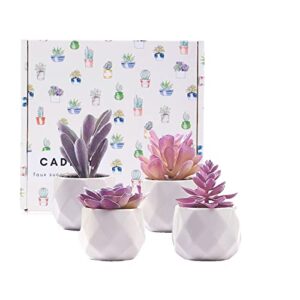 CADNLY Fake Succulent Plant Set for Women Desk - Realistic Artificial Mini Purple Succulent Décor in Ceramic Planter Pots for Bedroom Bathroom Office Shelf Decor