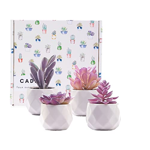 CADNLY Fake Succulent Plant Set for Women Desk - Realistic Artificial Mini Purple Succulent Décor in Ceramic Planter Pots for Bedroom Bathroom Office Shelf Decor