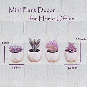 CADNLY Fake Succulent Plant Set for Women Desk - Realistic Artificial Mini Purple Succulent Décor in Ceramic Planter Pots for Bedroom Bathroom Office Shelf Decor