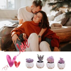 CADNLY Fake Succulent Plant Set for Women Desk - Realistic Artificial Mini Purple Succulent Décor in Ceramic Planter Pots for Bedroom Bathroom Office Shelf Decor