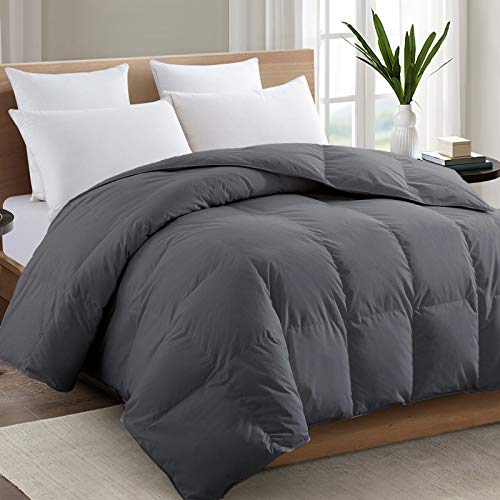 TEXARTIST Premium 2100 Series Queen Comforter All Season Breathable Cooling Grey Comforter Soft 4D Spiral Fiber Quilted Down Alternative Duvet with Corner Tabs Luxury Hotel Style (88"x88")