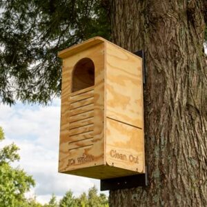 JCs Wildlife Barred Owl Nesting Box - Treated Exterior Grade Plywood - Mounting Hardware and Pine Shavings Included - Dedicated Clean Out Door for Easy Cleaning - Made in The USA