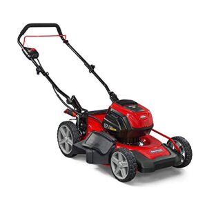 Snapper XD 82V MAX Cordless Electric 19" Push Lawn Mower, Includes Kit of 2 2.0 Batteries and Rapid Charger (Renewed)