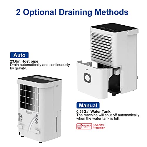 Shinco 30 Pints Dehumidifier for Home and Basements, 1500 Sq.Ft Dehumidifier with Drain Hose, Auto or Manual Drainage, Auto Defrost, Quietly Remove Moisture, Activated Carbon Filter, 24HR Timer