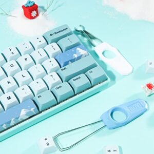 BOYI 60% Mechanical Gaming Keyboard,BOYI 61 Mini RGB Cherry MX Switch PBT Keycap 60% RGB Mechanical Gaming Keyboard (Ice Colors, Cherry MX Brown Switch)