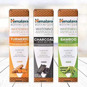 Himalaya Botanique Whitening Antiplaque Toothpaste with Turmeric + Coconut Oil, Fluoride Free, for Brighter Teeth, 4 oz, 2 Pack