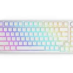 Glorious Aura V2 (White) - PBT Pudding Keycaps for Mechanical Keyboards - ANSI (US), ISO Compatible - Supports Full Size, TKL, 75%, 60% Layouts