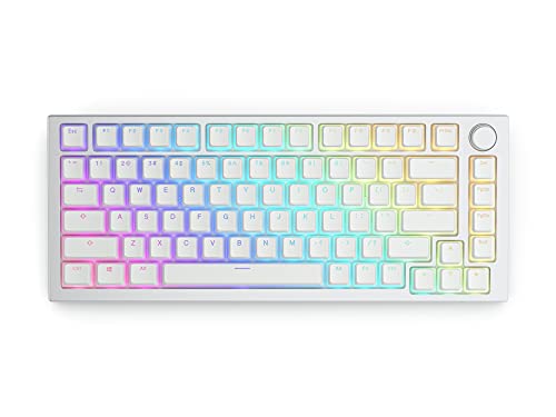 Glorious Aura V2 (White) - PBT Pudding Keycaps for Mechanical Keyboards - ANSI (US), ISO Compatible - Supports Full Size, TKL, 75%, 60% Layouts