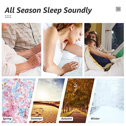 HYLEORY All Season Queen Size Bed Comforter - Cooling Goose Down Alternative Quilted Duvet Insert with Corner Tabs - Winter Warm - Machine Washable - White