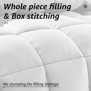 HYLEORY All Season Queen Size Bed Comforter - Cooling Goose Down Alternative Quilted Duvet Insert with Corner Tabs - Winter Warm - Machine Washable - White