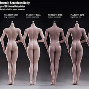 HiPlay TBLeague 1/6 Scale 12 inches Female Super Flexible Seamless Figure Body, Muscular Body Type, Large Bust, Minature Collectible Action Figures (Suntan Skin, S21B (Muscular & Large Bust))