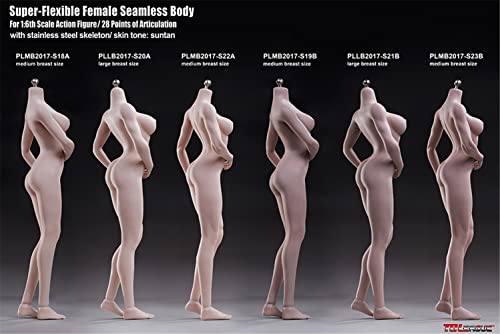 HiPlay TBLeague 1/6 Scale 12 inches Female Super Flexible Seamless Figure Body, Muscular Body Type, Large Bust, Minature Collectible Action Figures (Suntan Skin, S21B (Muscular & Large Bust))