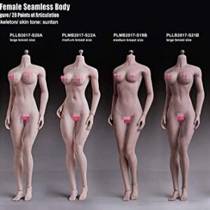 HiPlay TBLeague 1/6 Scale 12 inches Female Super Flexible Seamless Figure Body, Muscular Body Type, Large Bust, Minature Collectible Action Figures (Suntan Skin, S21B (Muscular & Large Bust))