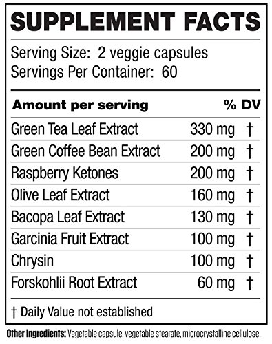 INVIGOR8 Superfood Shake (French Vanilla) Whey Protein Shake + Collagen Peptides + Fatburner Bundle