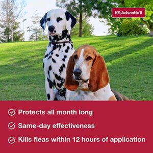 K9 Advantix II XL Dog Over 55 lbs & K9 Advantix II Large Dog 21-55 lbs Vet-Recommended Flea, Tick & Mosquito Treatment & Prevention | 1-Mo Supply Each