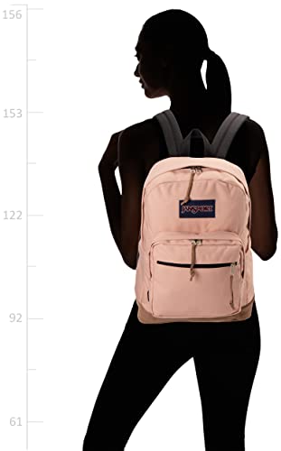 JanSport Right Pack Backpack - Travel, Work, or Laptop Bookbag with Suede Leather Bottom with Water Bottle Pocket, Misty Rose