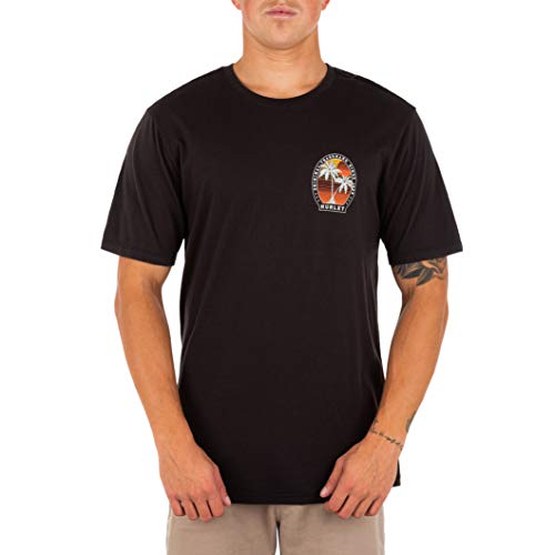 Hurley Men's Everyday Washed Graphic T-Shirt