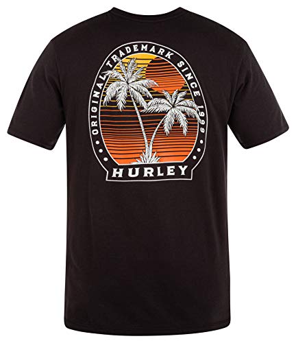 Hurley Men's Everyday Washed Graphic T-Shirt