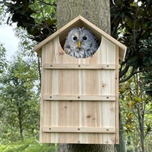 Sundia Screech Saw Whet Owl Kestrel Flicker Barn Large Big Bird Nesting Wooden Box Resident Habitant House (D100)