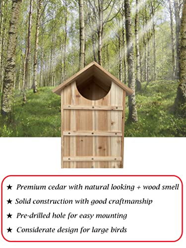 Sundia Screech Saw Whet Owl Kestrel Flicker Barn Large Big Bird Nesting Wooden Box Resident Habitant House (D100)